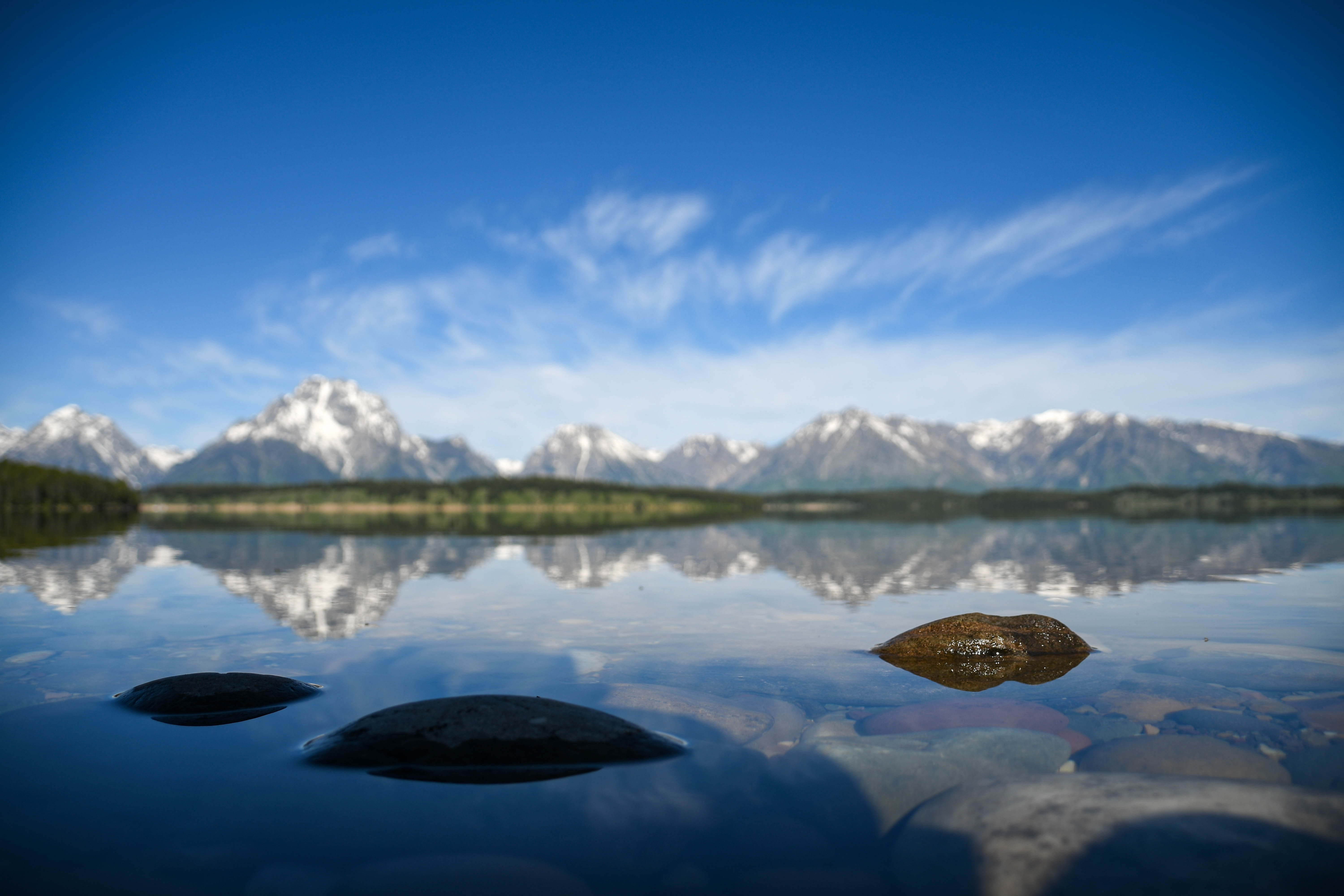 Landscape & Architecture – Tomás Williamson